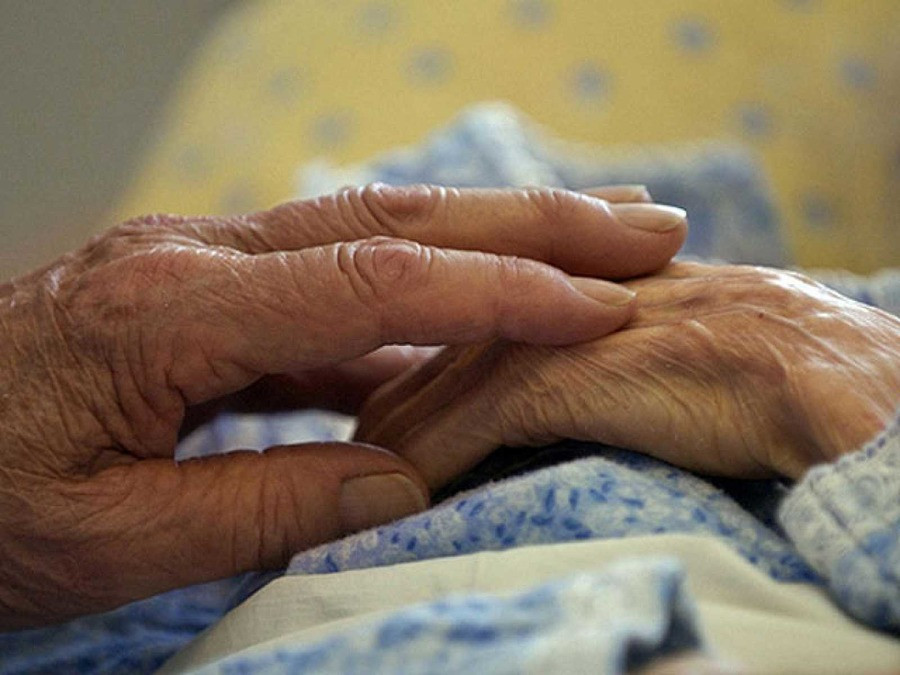 When humaneness is one of the components of complex legal aid - LDN